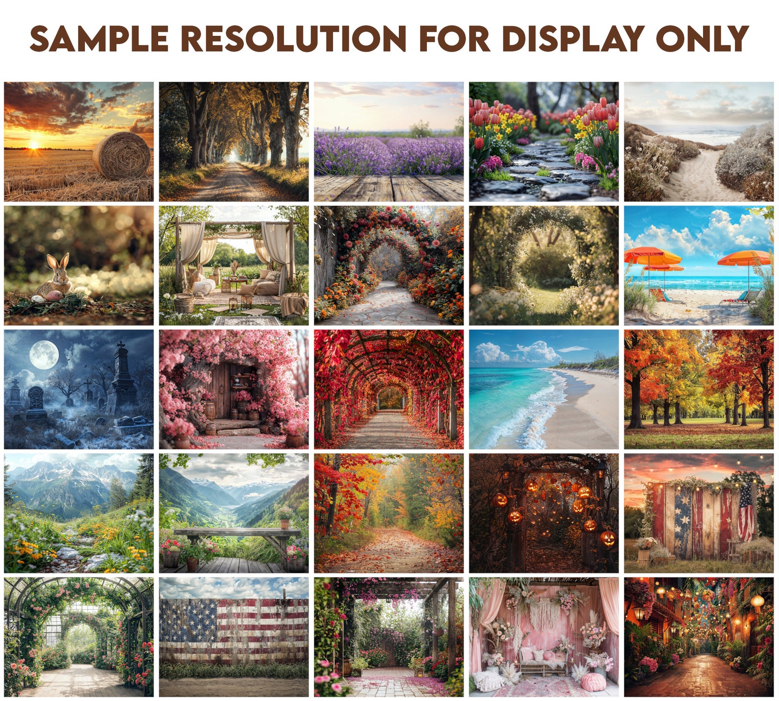 Variety Bundle Digital Backgrounds Photography Backdrops, Studio ...