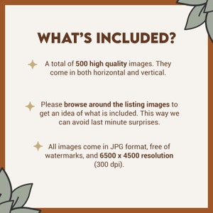 OLD MASTER Bundle Photography Background Backdrop, Vertical Portrait ...