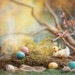 Variety Bundle Digital Backgrounds Photography Backdrops, Studio ...