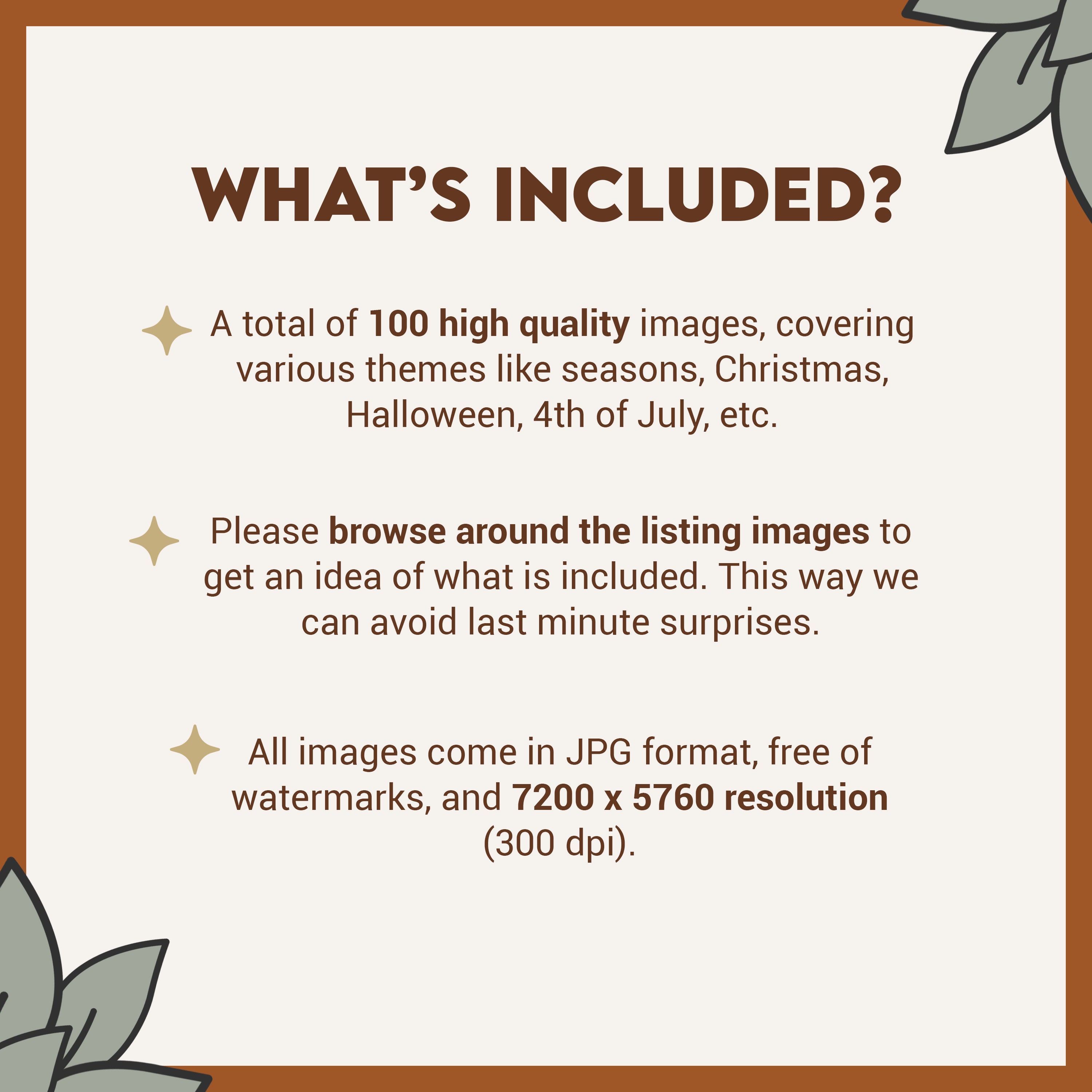 Variety Bundle Digital Backgrounds Photography Backdrops, Studio ...