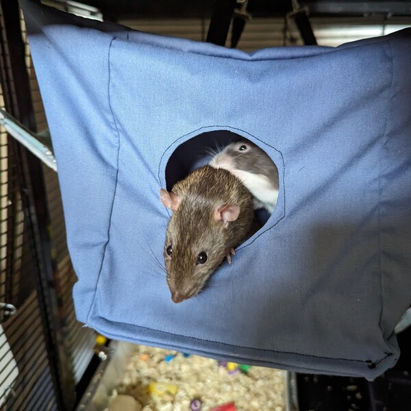 Rat Hammock - Etsy