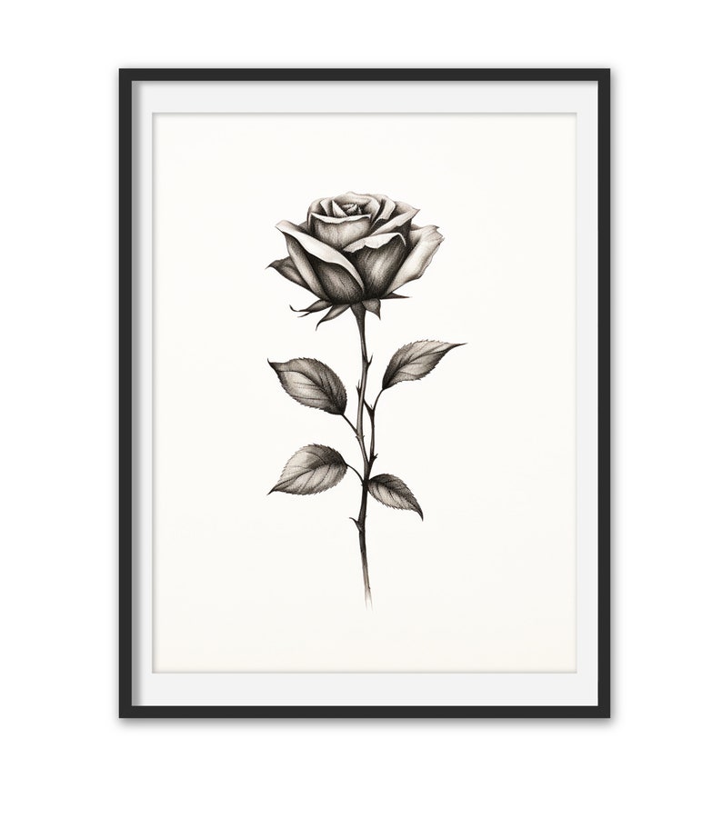 Single Rose Sketch Art Drawing | Neutral Botanical Print | Simple ...