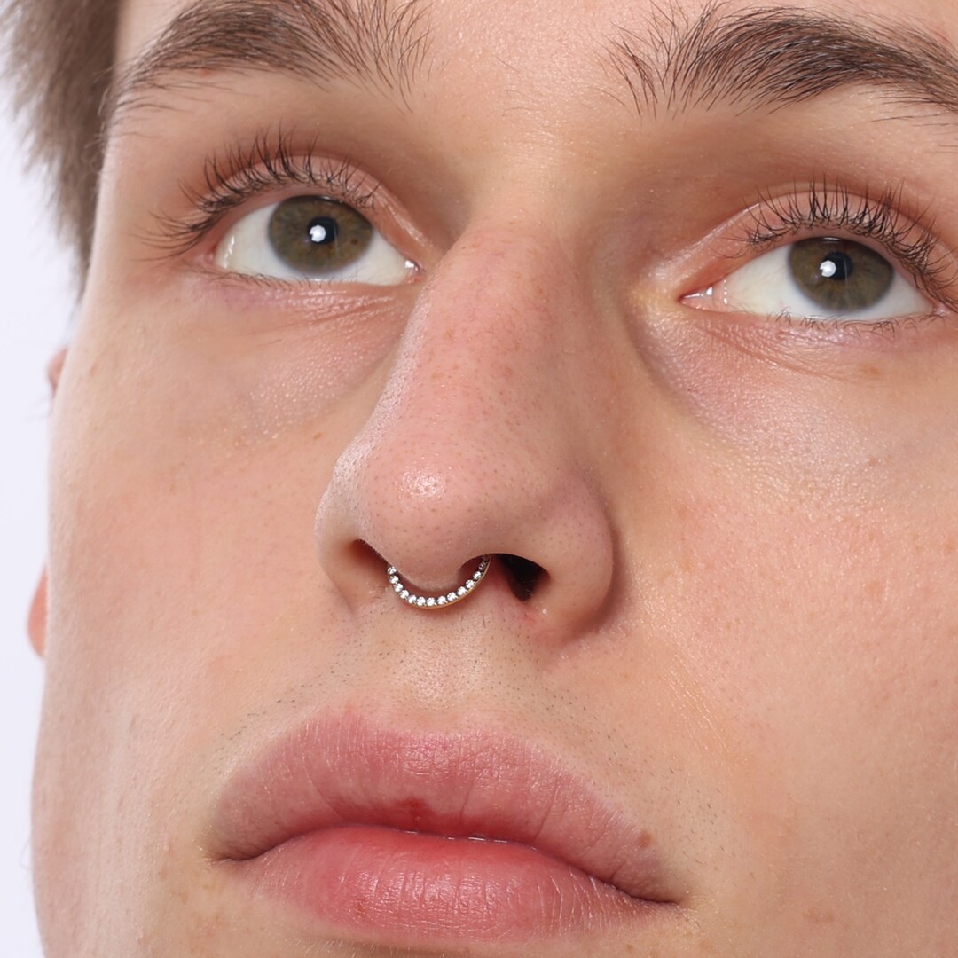 Personalized Sparkling Titanium Septum Ring/cartilage Hoop Ring/conch ...