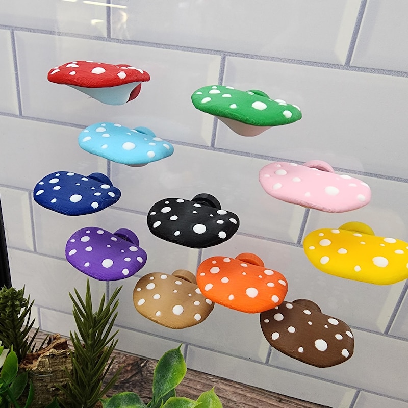 Frog Enclosure Magnetic - Etsy