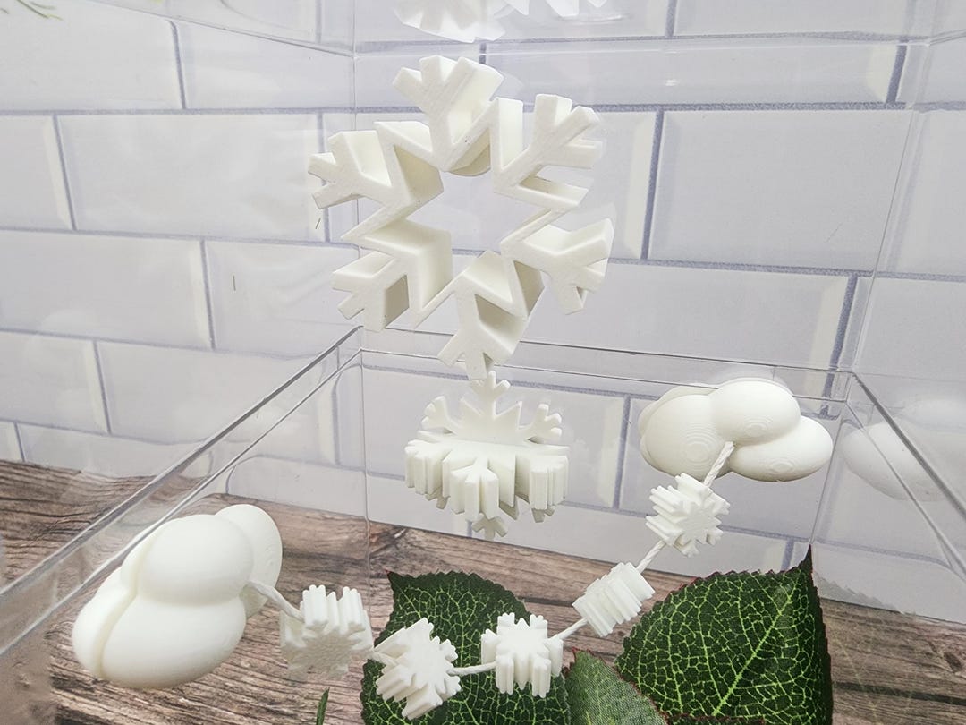 Snowflake Jumping Spider Enclosure Kit, Winter Jumping Spider Shelf ...