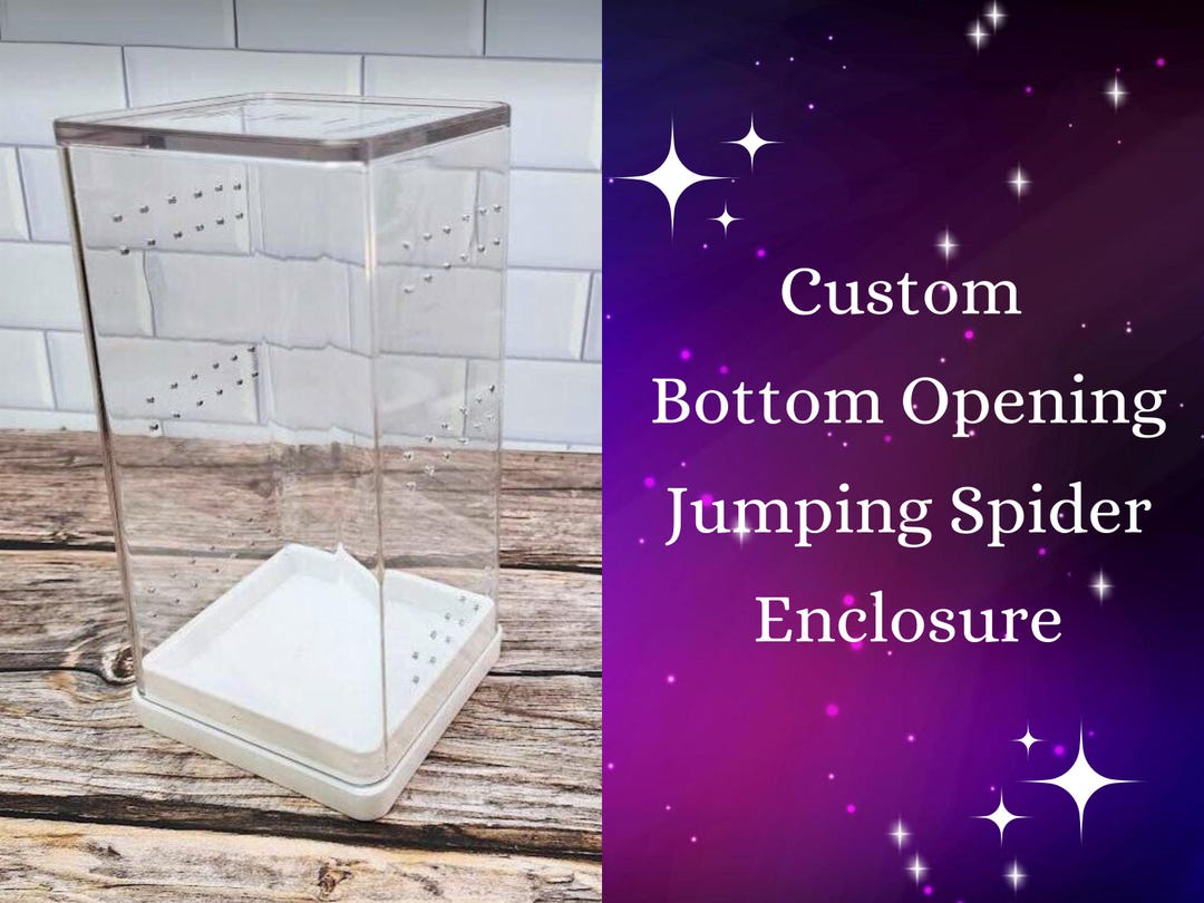 Custom Jumping Spider Bottom Opening Enclosure, Made to Order, Jumping ...