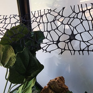 Web Ribbon, Mesh Fabric Ribbon, Jumping Spider Ribbon, Spider Web ...