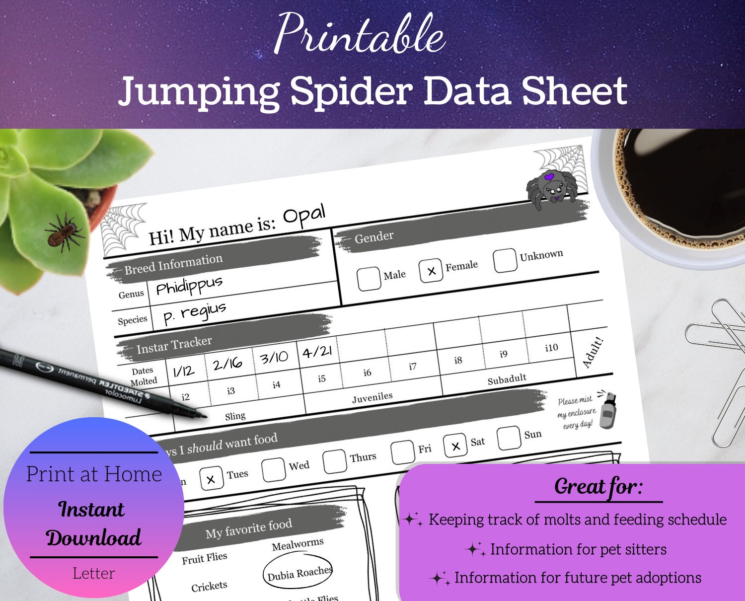 Jumping Spider Care Sheet, Printable Spider Tracker, Pet Breeding ...