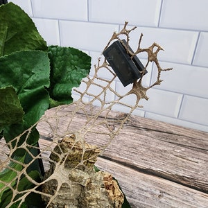 Web Ribbon, Mesh Fabric Ribbon, Jumping Spider Ribbon, Spider Web ...