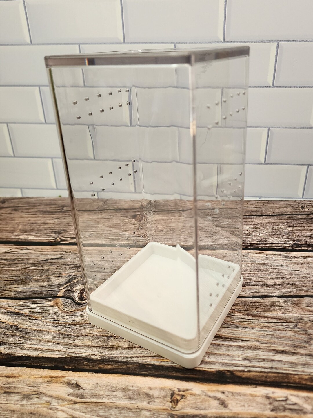 Jumping Spider Bottom Opening Enclosure, Pre-drilled, Empty, Ready to ...