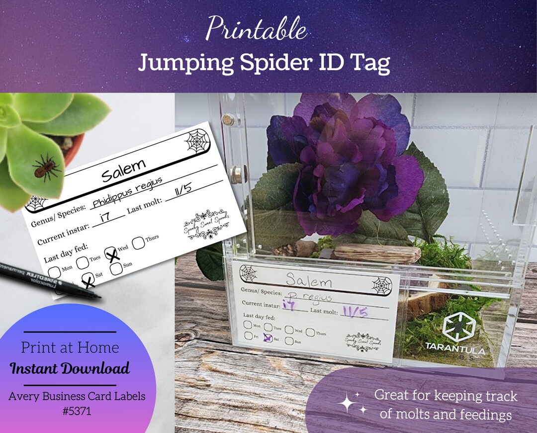 Jumping Spider Enclosure Name Tag, Printable Spider Label, Vivarium ID ...