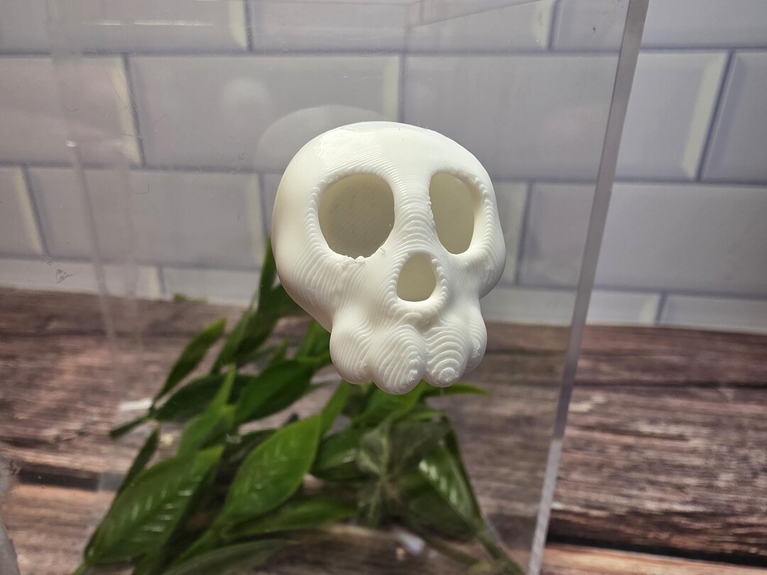 Skull Hide, Spooky Jumping Spider Hide, Halloween Printed Enclosure ...