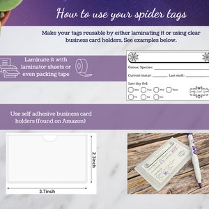 Jumping Spider Enclosure Name Tag, Printable Spider Label, Vivarium ID ...
