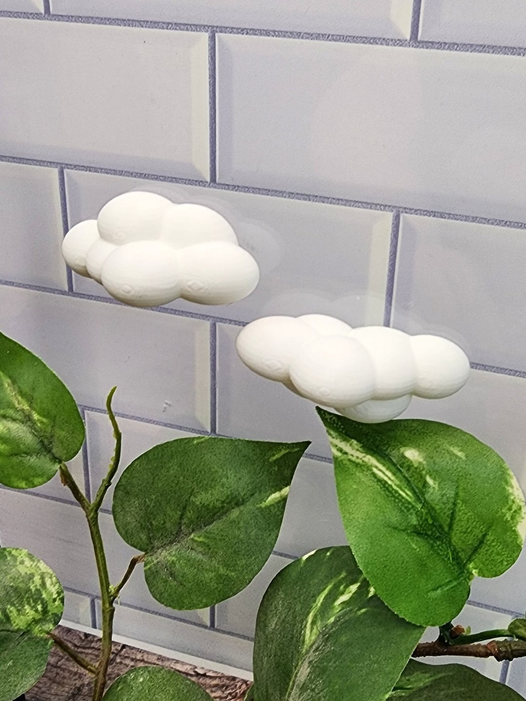 Cloud Ledge, Cottagecore Jumping Spider Shelf, 3D Printed Enclosure ...