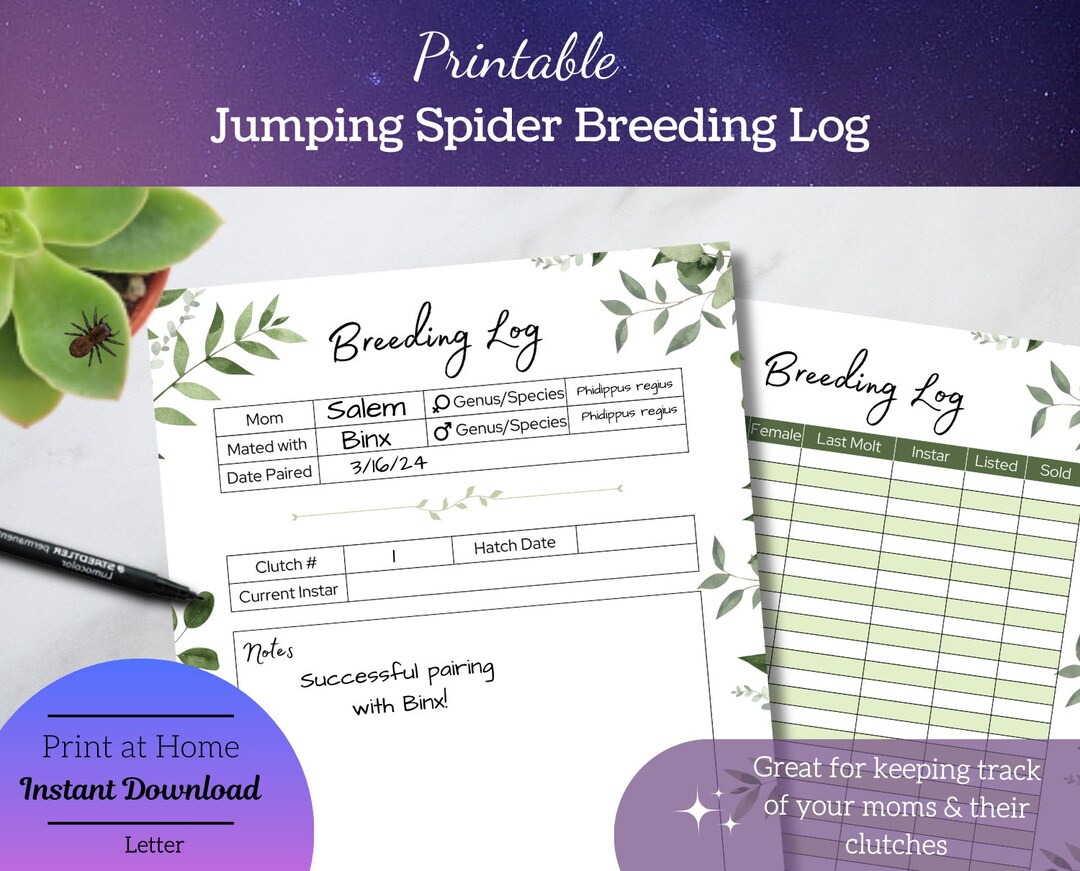 Jumping Spider Breeding Journal, Spider Mom and Clutch Page, Printable ...
