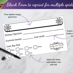 Jumping Spider Enclosure Name Tag, Printable Spider Label, Vivarium ID ...