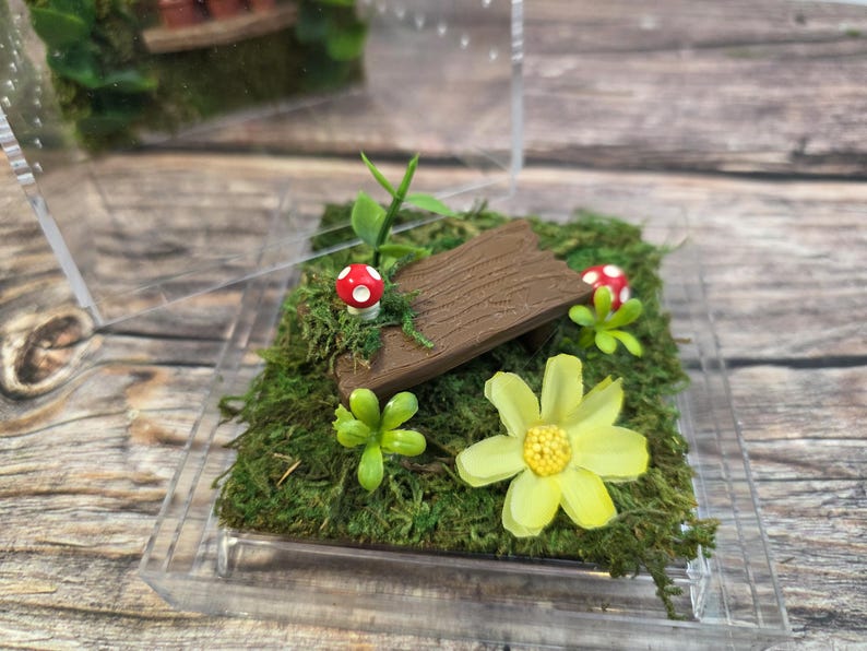 Jumping Spider Cottagecore Enclosure, Bottom Opening Nature ...