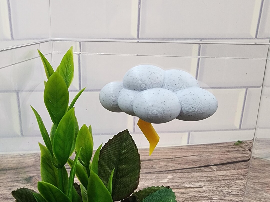 Storm Cloud Ledge, Cottagecore Jumping Spider Shelf, Lightning Bolt ...