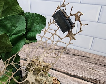 3D Printed Magnetic Oriental Lily Spider Hide - Etsy