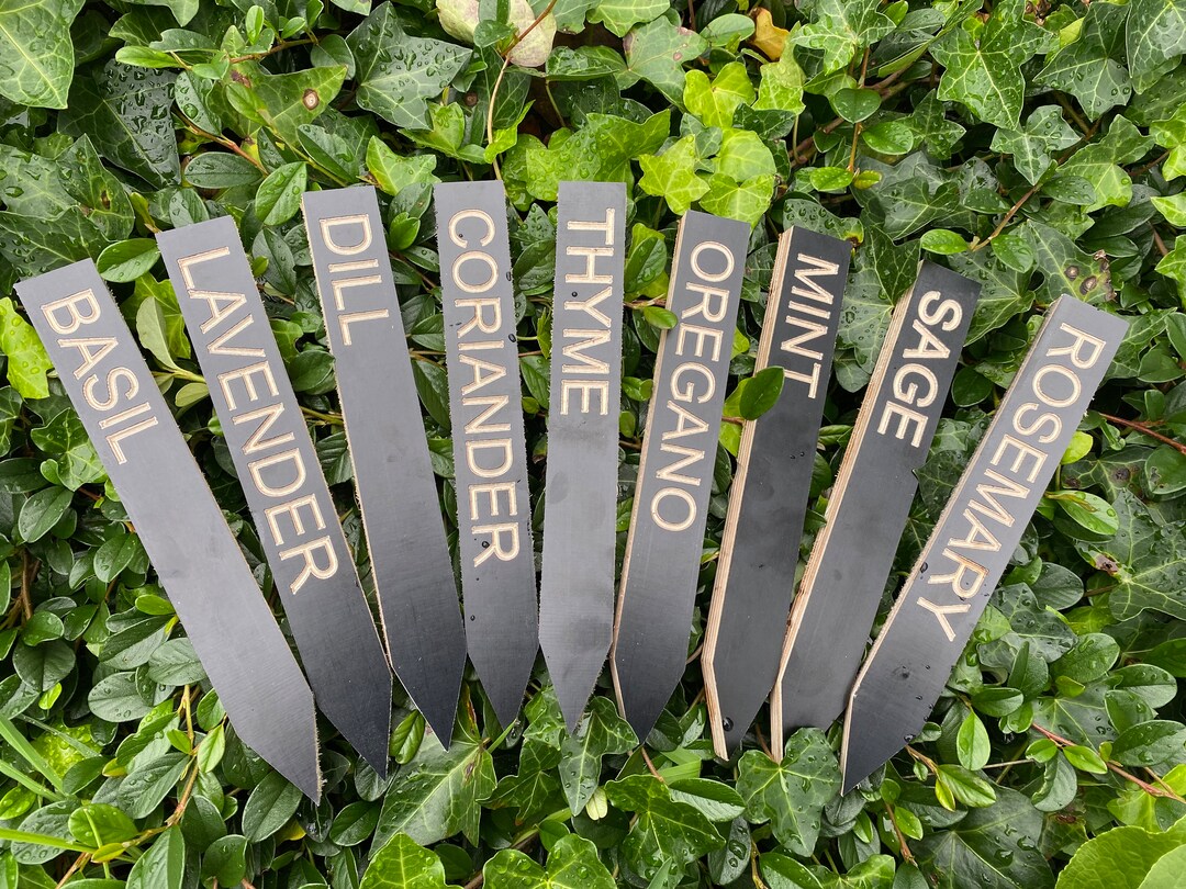 Wooden Vegetable Herb Markers, Stakes, Plant Labels, Name Tags ...