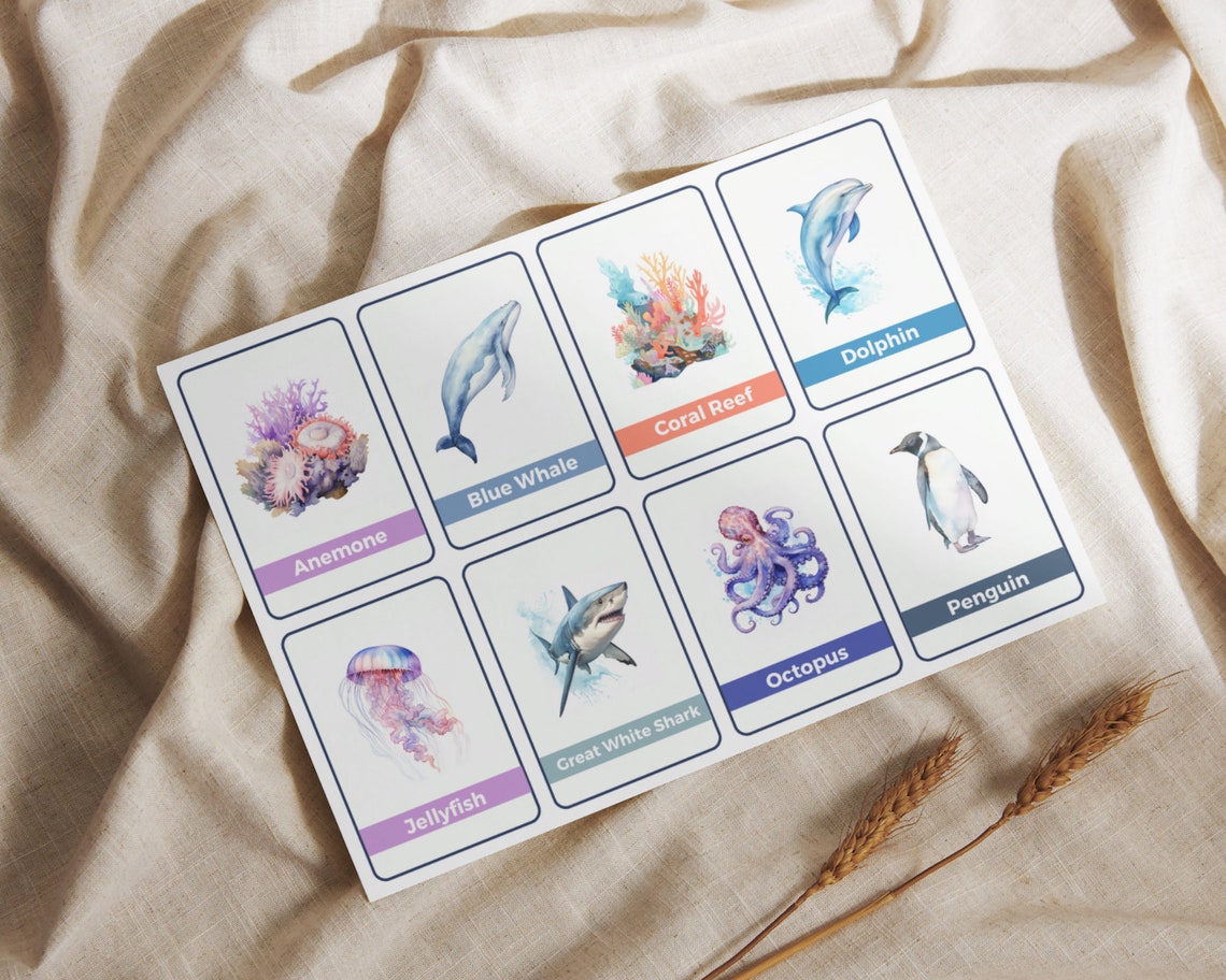 Flash Cards Ocean Animals PDF Printable Digital Download - Etsy