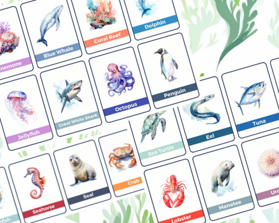 Flash Cards Ocean Animals PDF Printable Digital Download - Etsy