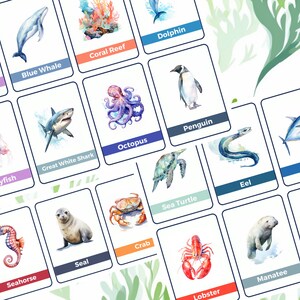 Flash Cards | Ocean Animals | PDF Printable | Digital Download - Etsy