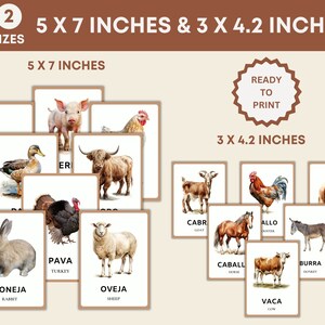 16 Farm Animals Cards Montessori Flash Cards Animal Pre-school Cards ...