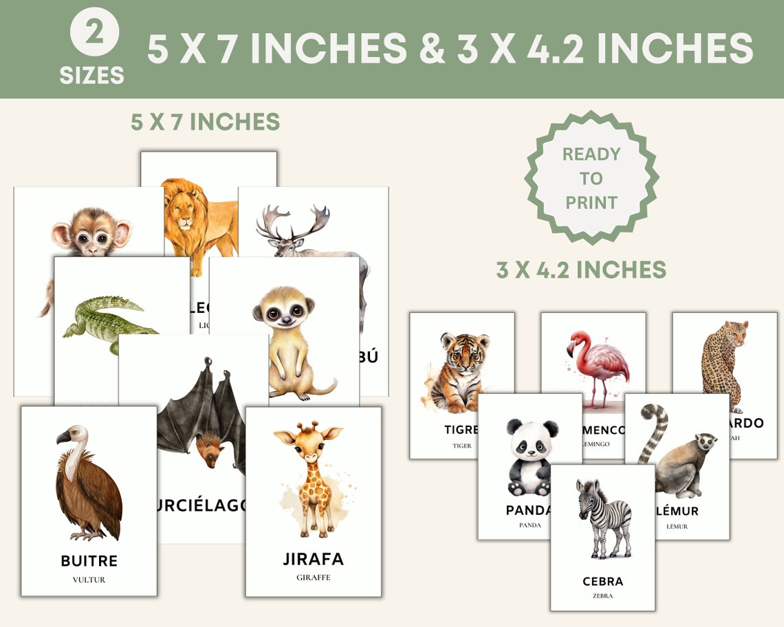 34 Animals Cards Montessori Flash Cards Animal Pre-school Cards Spanish ...