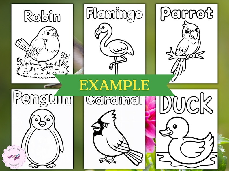 Birds Coloring Pages for Kids, Beautiful Birds Printable Wildlife Art ...
