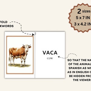 16 Farm Animals Cards Montessori Flash Cards Animal Pre-school Cards ...