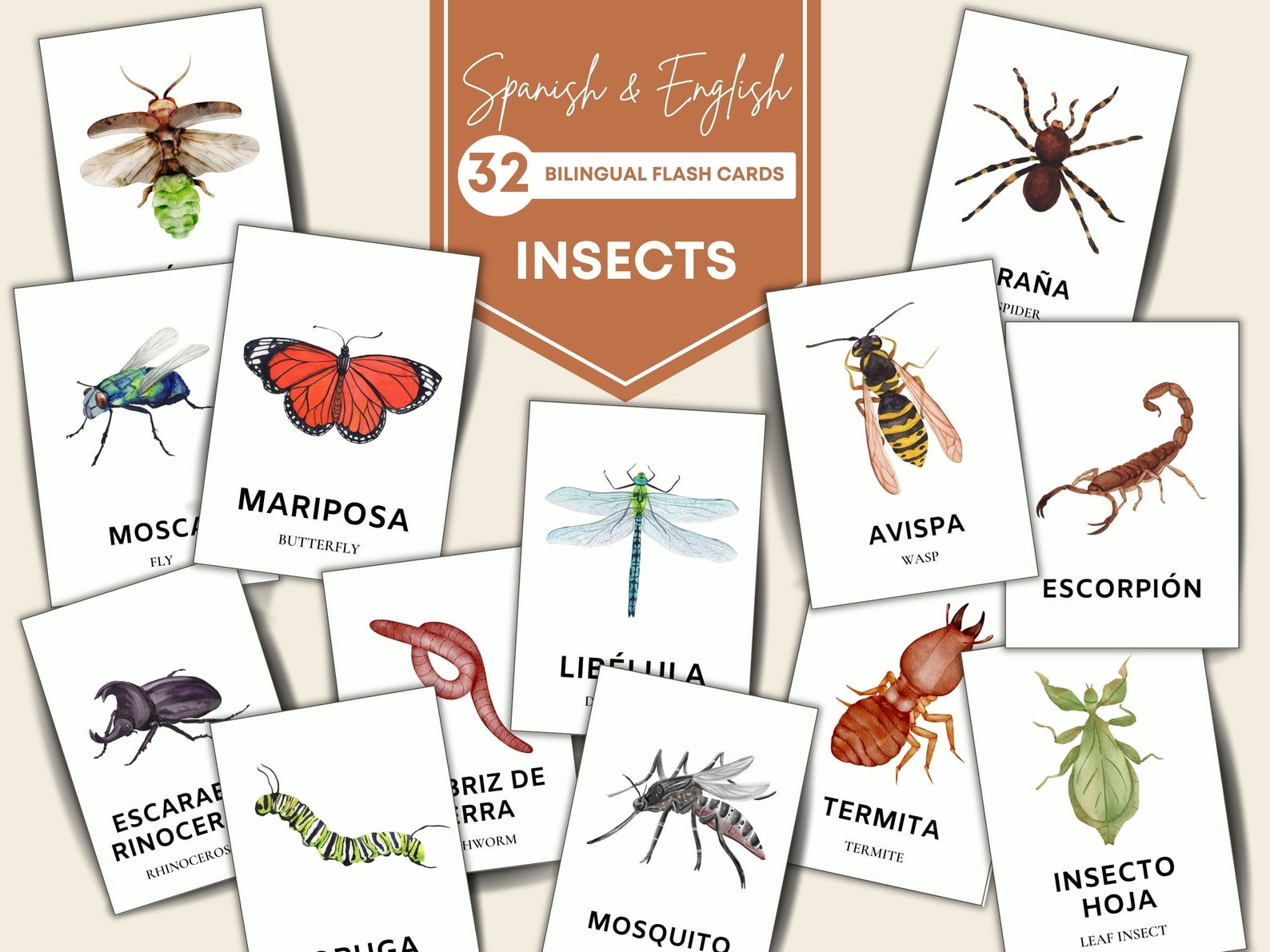 32 Insects Flash Cards Montessori Flash Cards Pre-school Cards Spanish ...