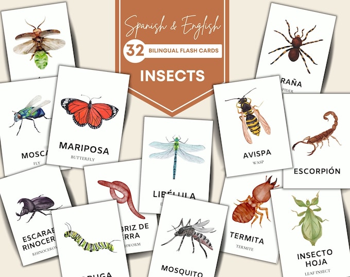 Tarjetas de insectos imprimibles para niños inglés-español - Etsy México