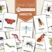 32 Insects Flash Cards Montessori Flash Cards Pre-school Cards Spanish ...
