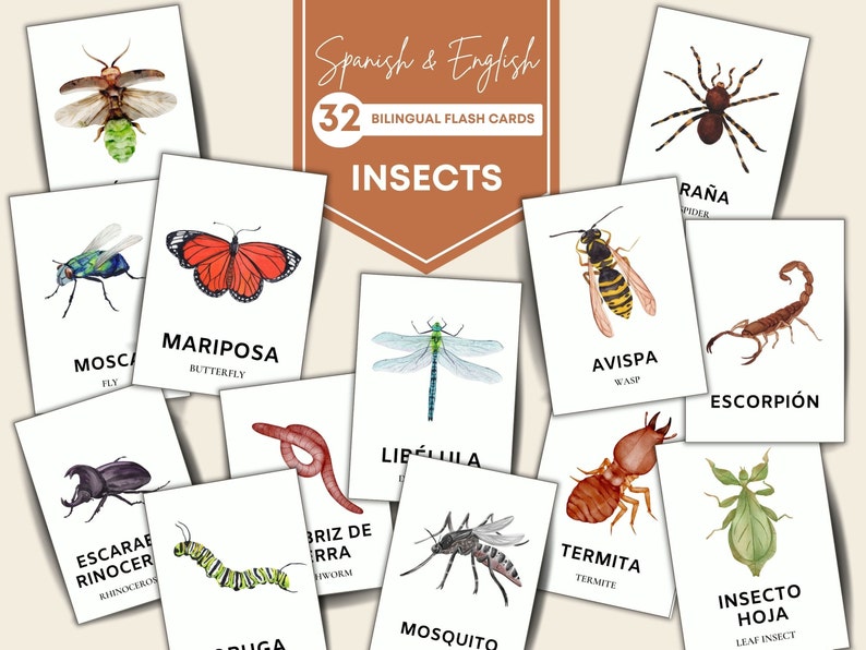 32 Insects Flash Cards Montessori Flash Cards Pre-school Cards Spanish ...