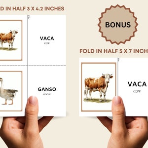 16 Farm Animals Cards Montessori Flash Cards Animal Pre-school Cards ...
