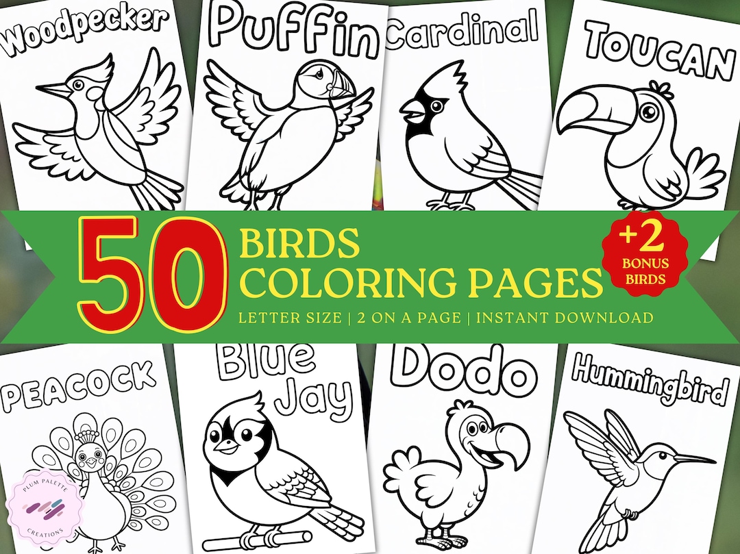 Birds Coloring Pages for Kids, Beautiful Birds Printable Wildlife Art ...