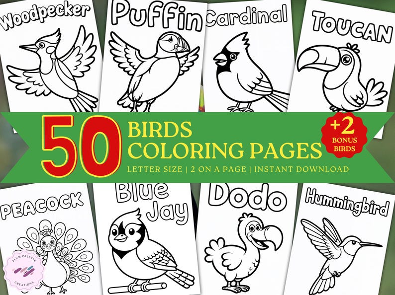 Birds Coloring Pages for Kids, Beautiful Birds Printable Wildlife Art ...