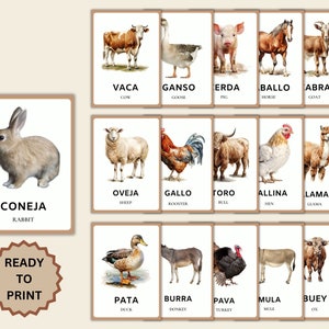 16 Farm Animals Cards Montessori Flash Cards Animal Pre-school Cards ...
