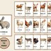 16 Farm Animals Cards Montessori Flash Cards Animal Pre-school Cards ...