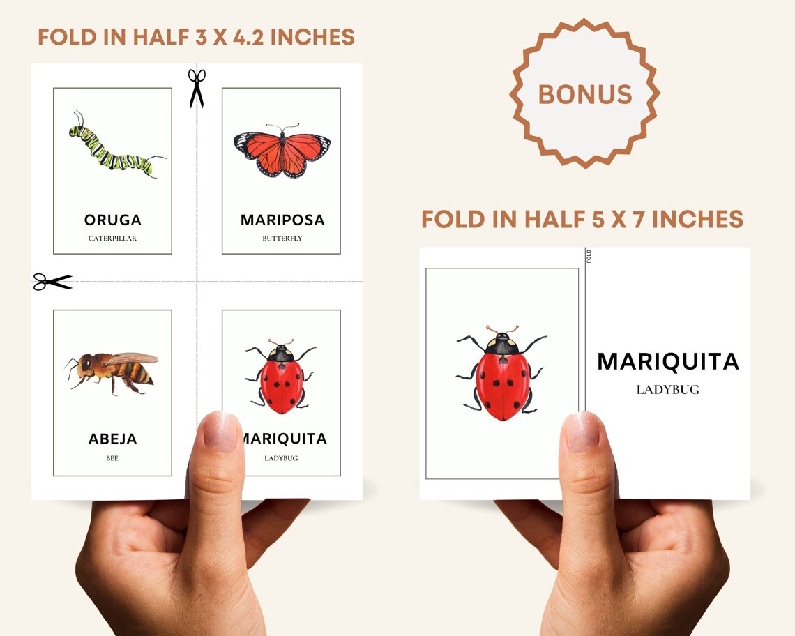 32 Insects Flash Cards Montessori Flash Cards Pre-school Cards Spanish ...