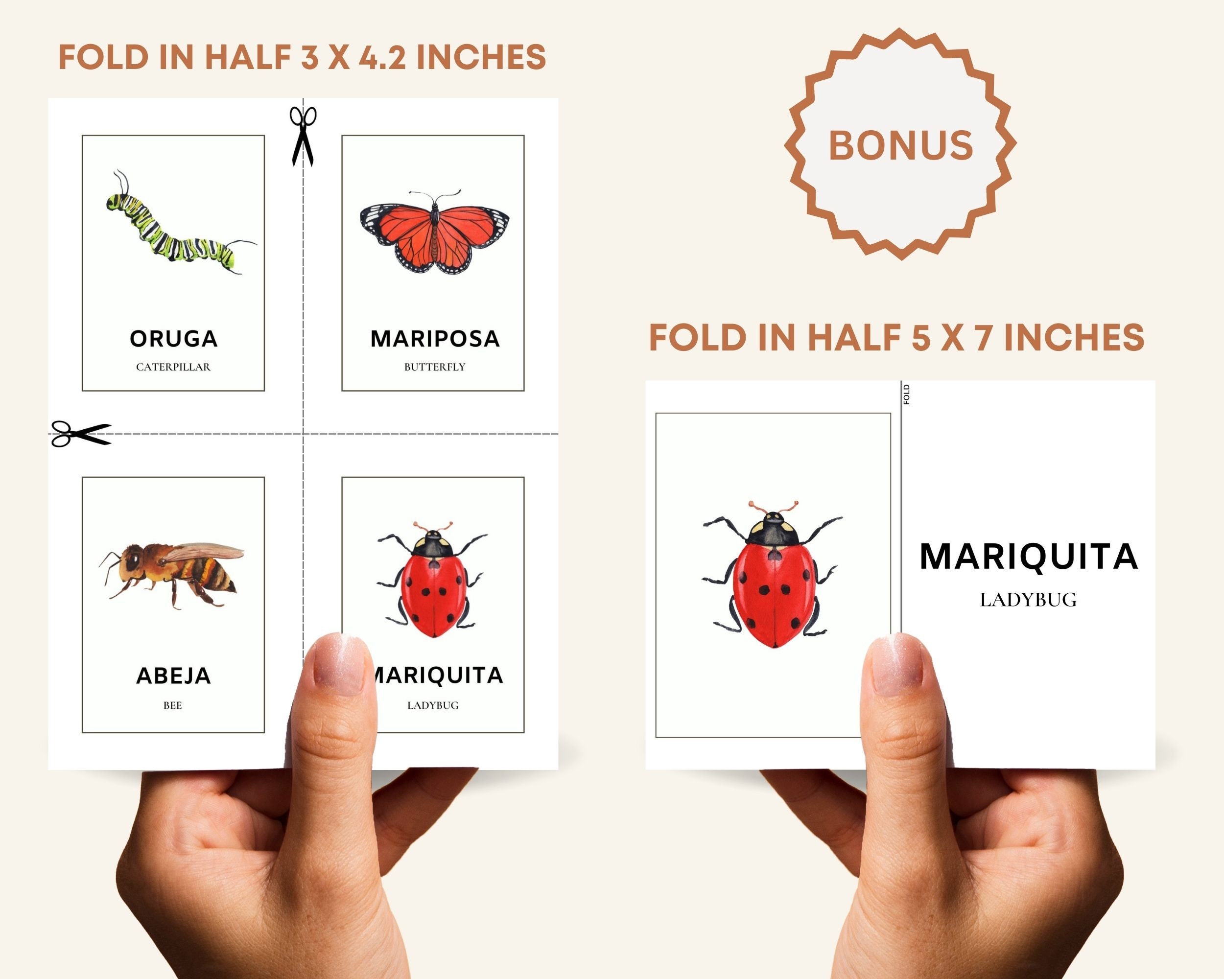 32 Insects Flash Cards Montessori Flash Cards Pre-school Cards Spanish ...