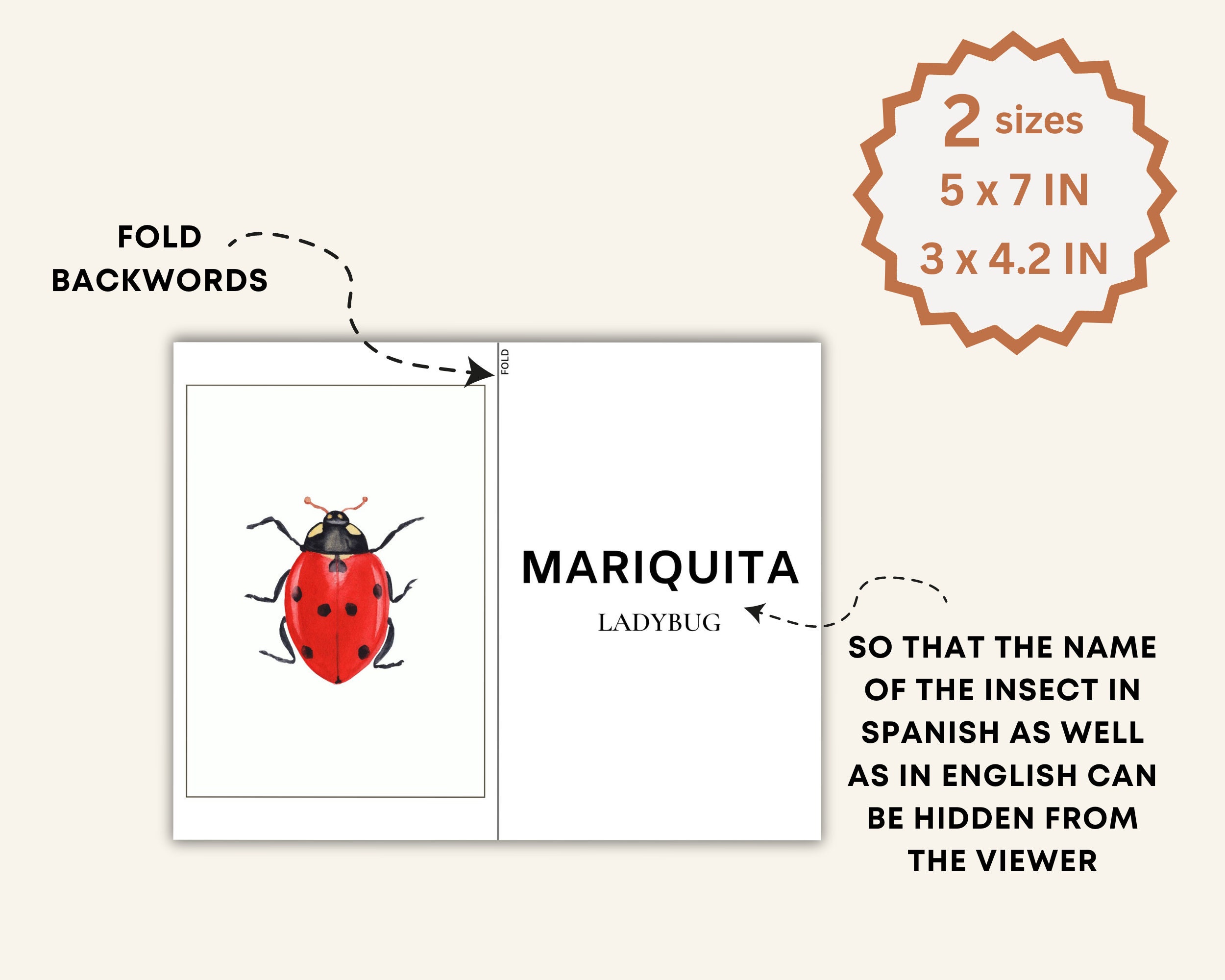 32 Insects Flash Cards Montessori Flash Cards Pre-school Cards Spanish ...