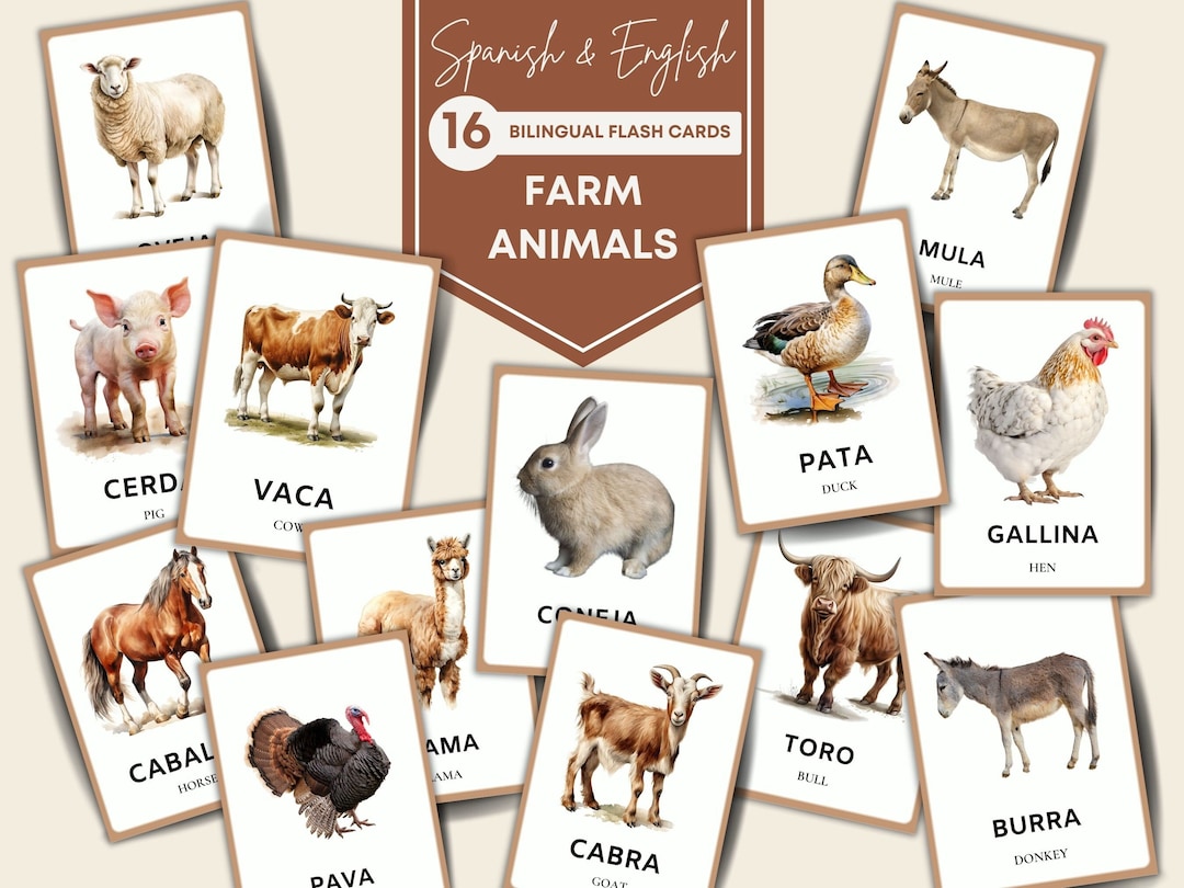 16 Farm Animals Cards Montessori Flash Cards Animal Pre-school Cards ...