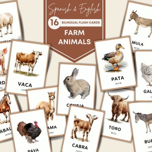 16 Farm Animals Cards Montessori Flash Cards Animal Pre-school Cards ...