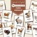 16 Farm Animals Cards Montessori Flash Cards Animal Pre-school Cards ...