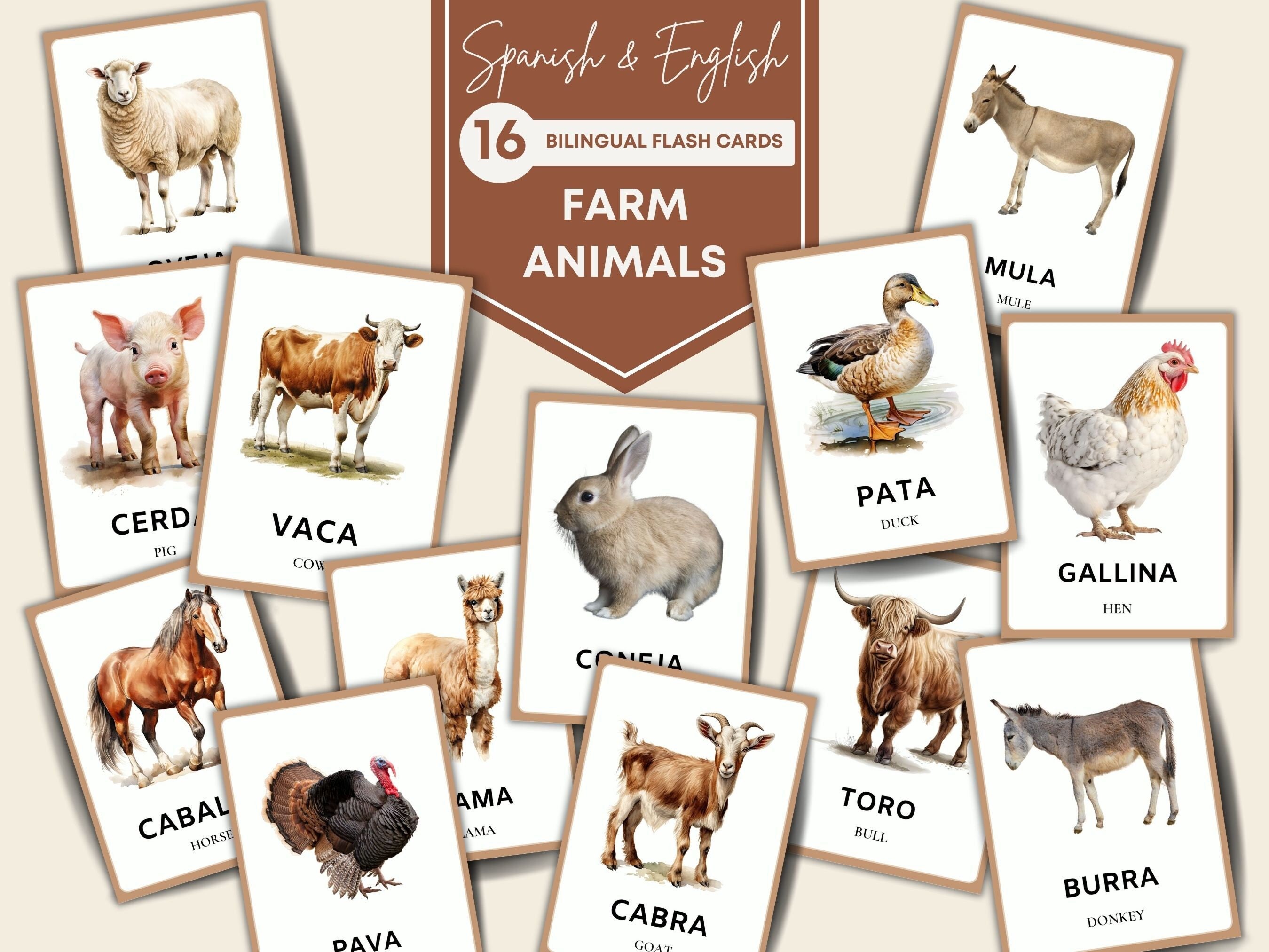 16 Farm Animals Cards Montessori Flash Cards Animal Pre-school Cards ...