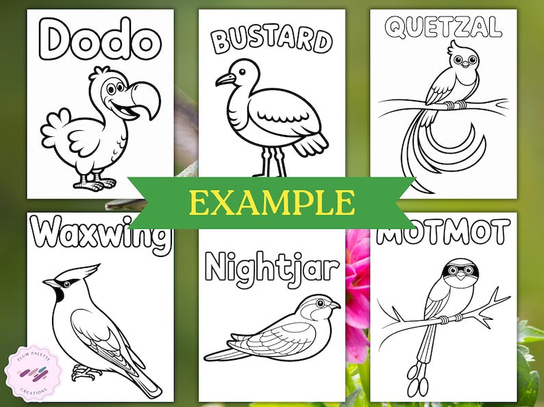 Birds Coloring Pages for Kids, Beautiful Birds Printable Wildlife Art ...