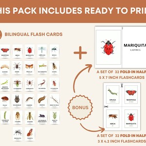 32 Insects Flash Cards Montessori Flash Cards Pre-school Cards Spanish ...