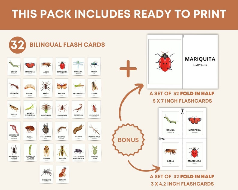 32 Insects Flash Cards Montessori Flash Cards Pre-school Cards Spanish ...